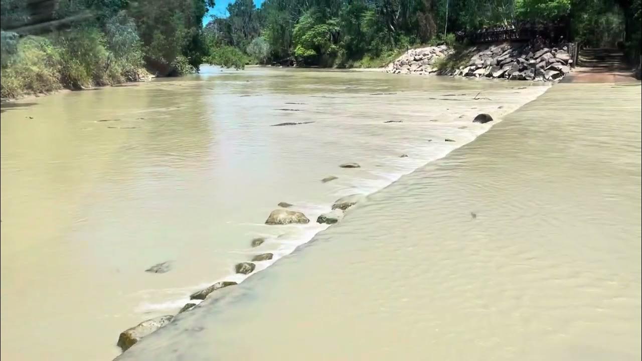Crocodiles fighting over fish - Cahills Crossing NT - YouTube