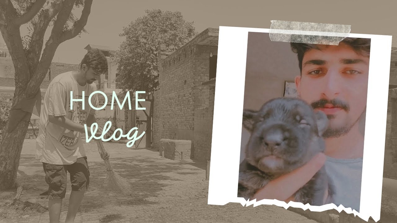 Home Vlog | Village Life and Farmer life - YouTube