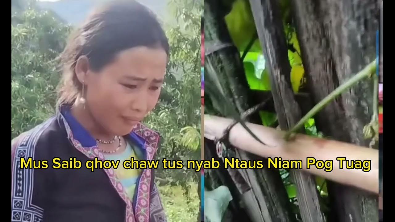 Rov Coj Tsoom Phooj Ywg Mus Saib Qhov Chaw Nyab Tua Thiab Niam Pog Lub Ntees 12/6/2023 - YouTube