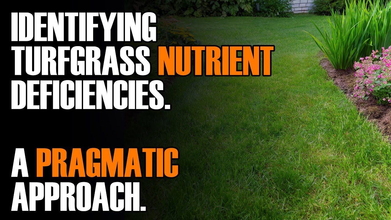A pragmatic approach to identifying nutrient deficiencies in turfgrass ...