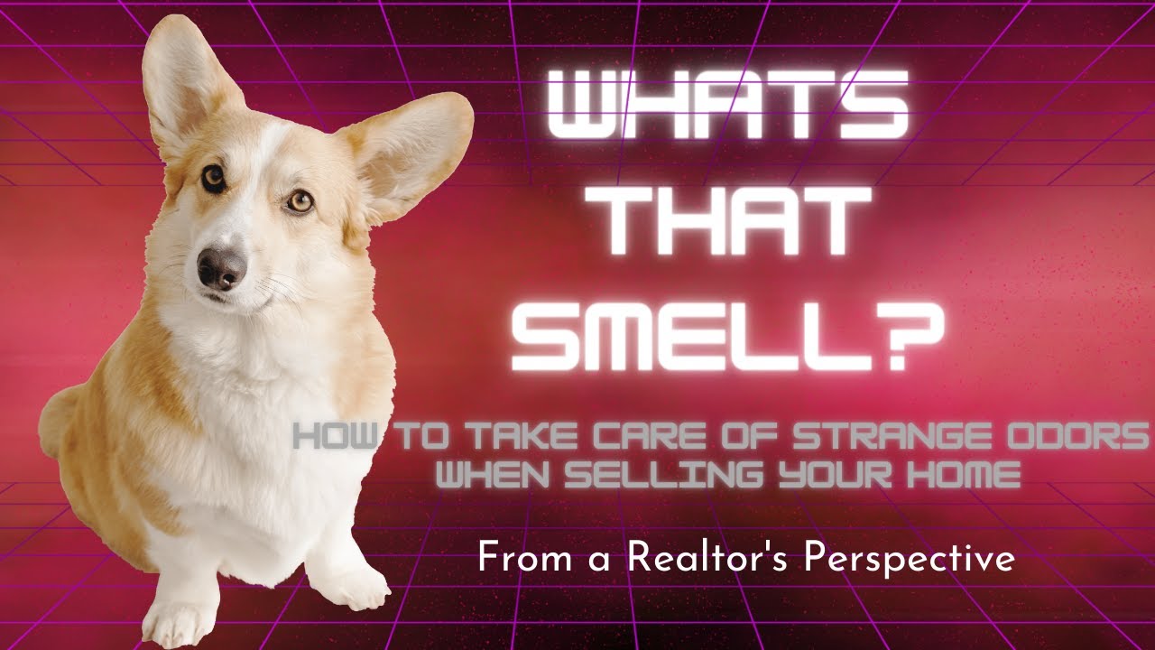 What's That Smell? What to do when your house has a strange odor and ...