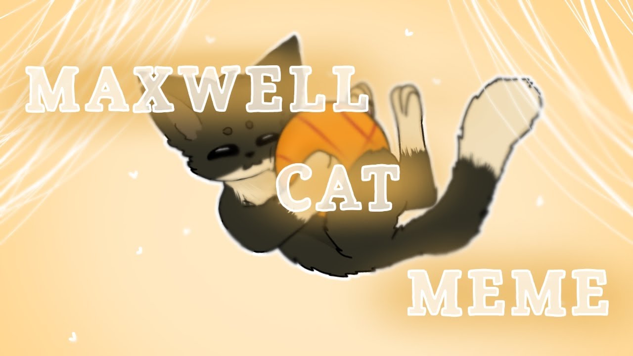 Maxwell Cat #meme •| ANIMATION |• - YouTube