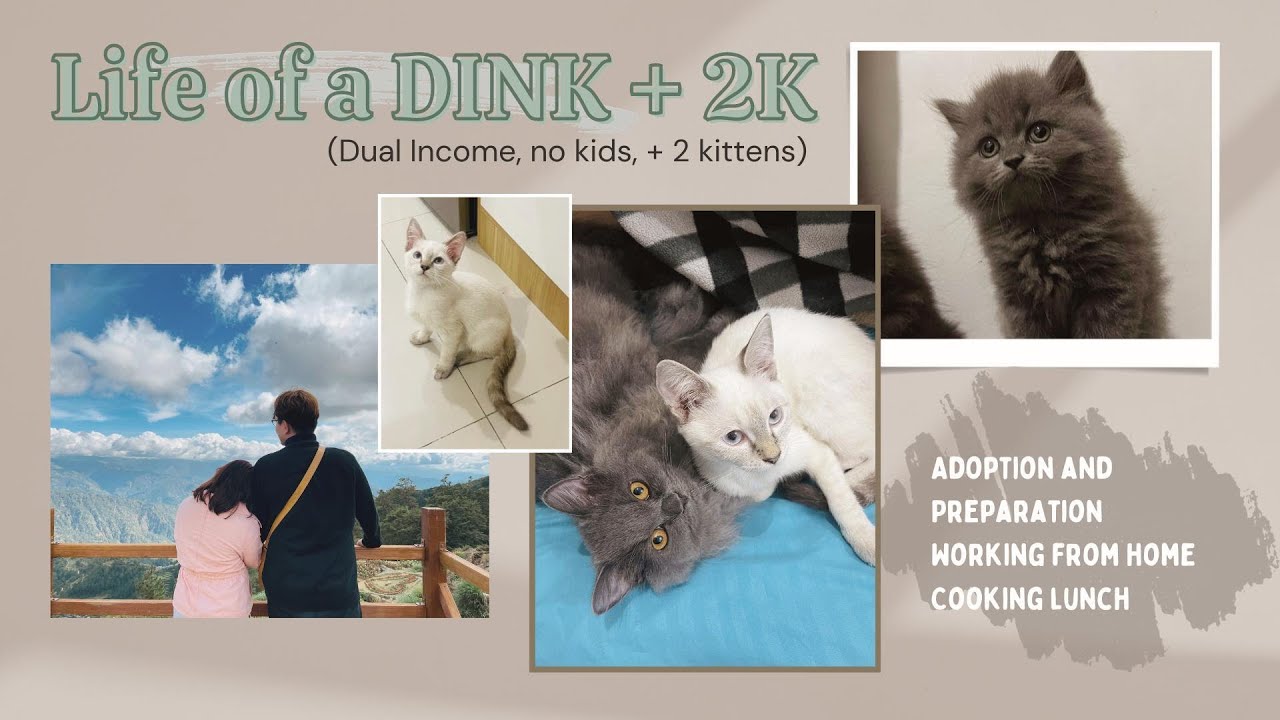 Life of a DINK + 2K (Dual Income, no kids, + 2 kittens) | Philippines ...