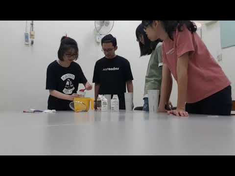 Group10 - Immersion demonstration - YouTube