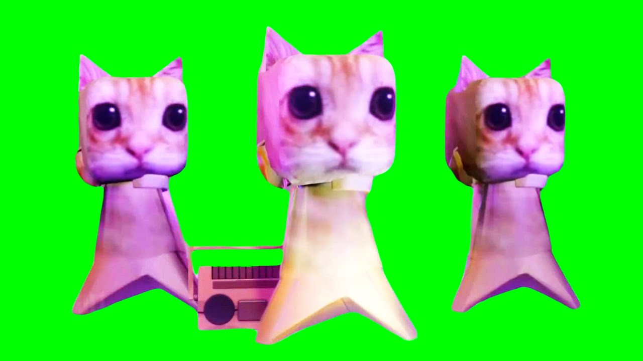 El Gato Dancing Cats | Green Screen Meme Template - YouTube