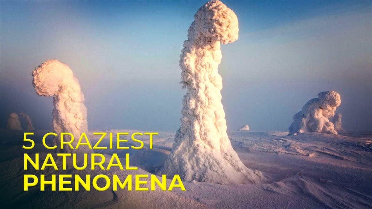 Top 5 Unbelievable Natural Phenomena Caught on Camera By The Facts ...