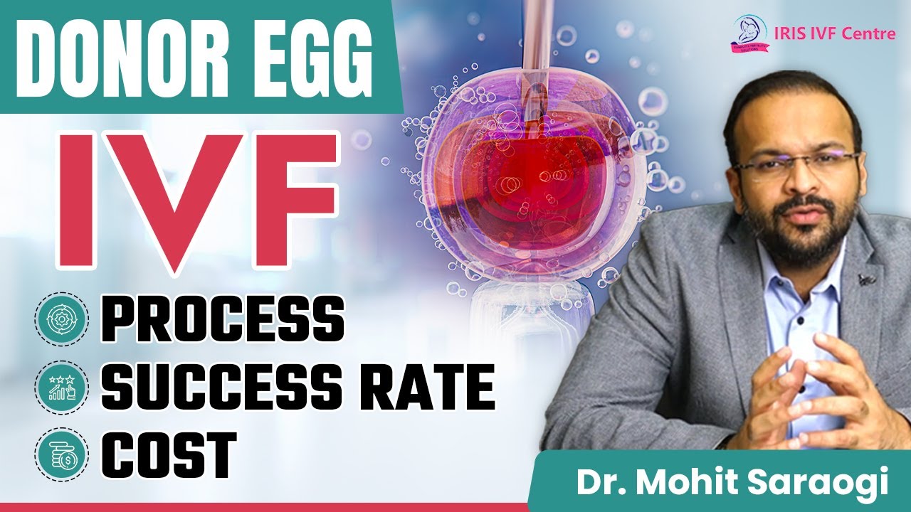 Donor Egg Ivf Process हिंदी में Success Rate Cost With Donor Eggs