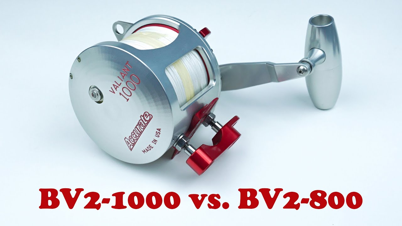Accurate Valiant BV2-1000 vs. BV2-800 + MUST NEEDED UPGRADES - YouTube