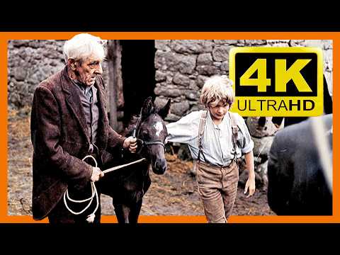 🎬 Black Beauty (1971)| The timeless classic that touched generations 🐴✨ | 4K Remastered