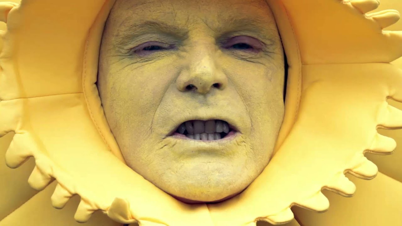 The Paranoia of Flowers - YouTube