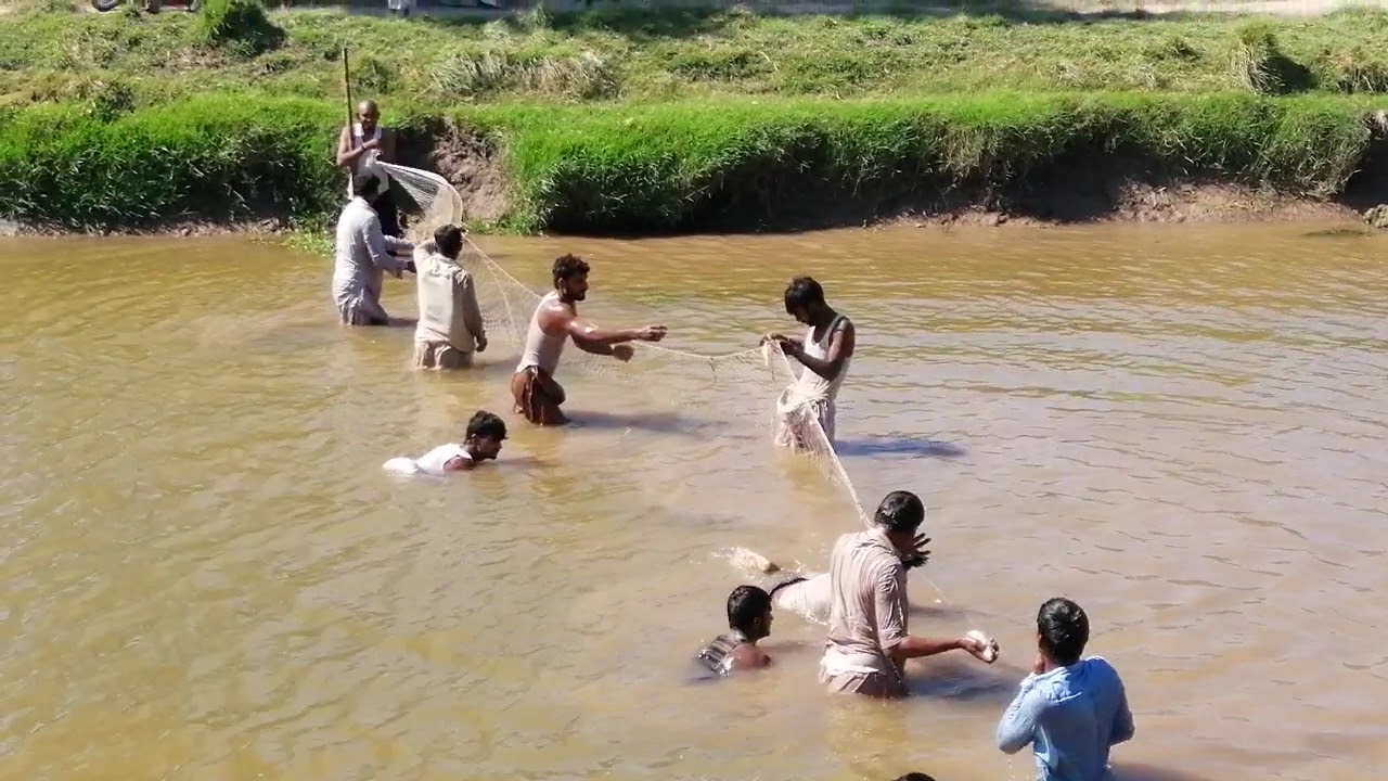 Fishing jal-multan fish shikar - YouTube