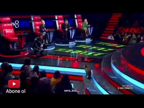 Oses türkiye stüdyosuna kedi girdi😂
