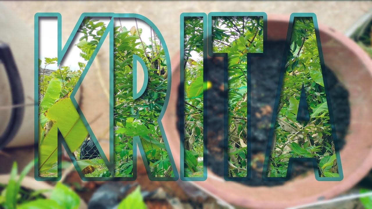 How To Put Photo On Text Using Krita For Beginner YouTube How To Put Photo On Text Using Krita For Beginner YouTube