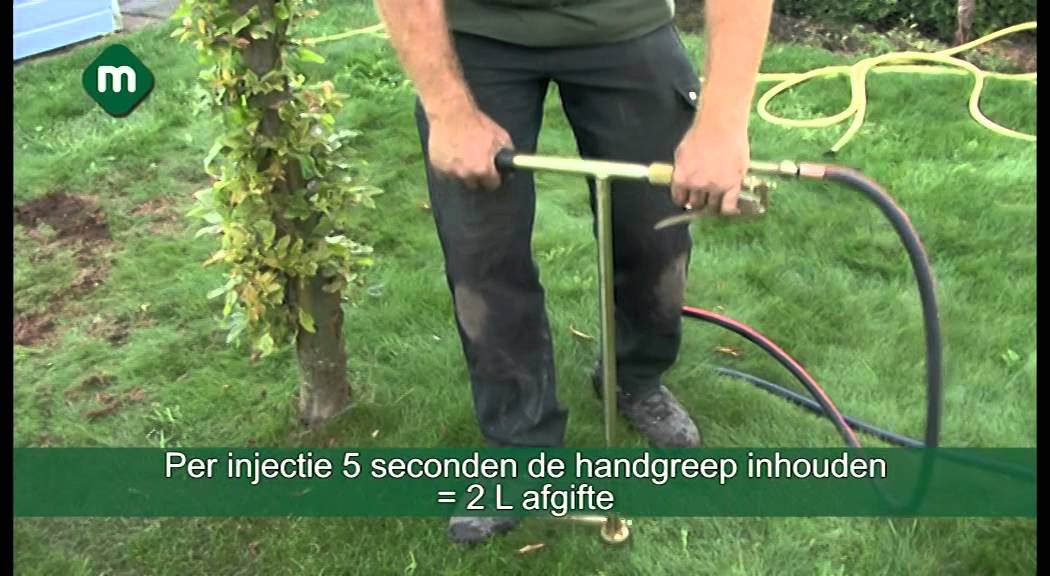 Injecteren van bomen - Mycor Tree Injectable Pt / Universeel - YouTube