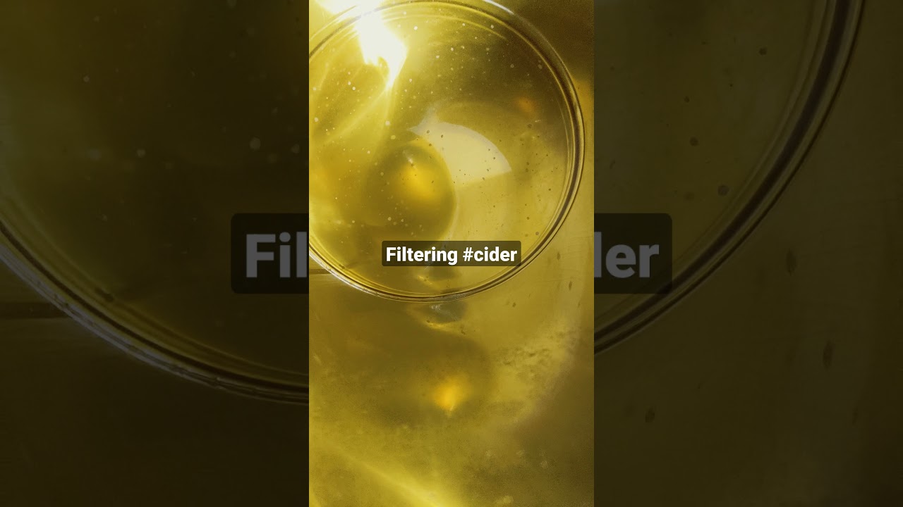 Second filtering run on the 250L tank! #cider - YouTube