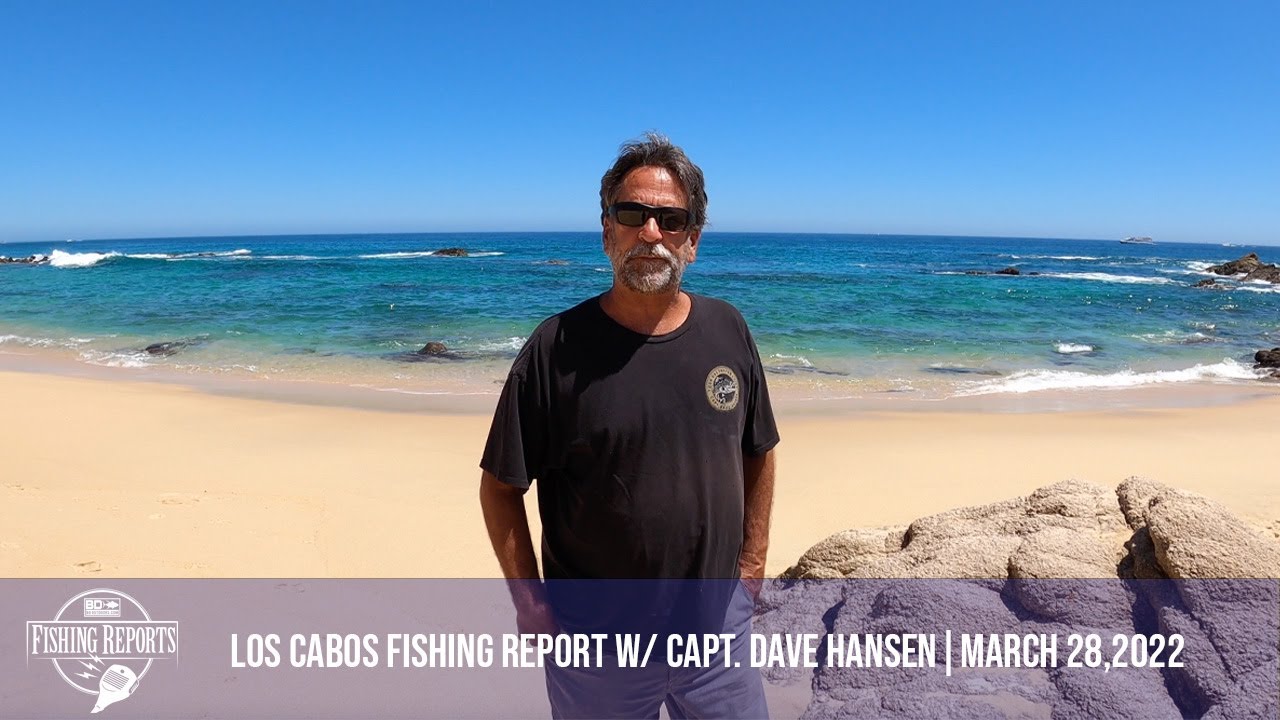 CABO SAN LUCAS AREA FISHING REPORT WITH CAPTAIN DAVE HANSEN | 03/28 ...