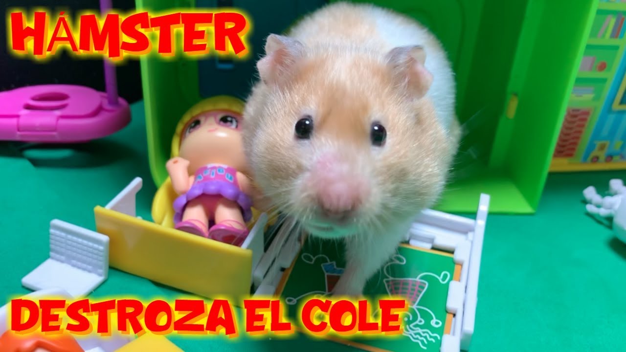 El hámster de Peppa Pig va al cole y lo destroza todo | Vídeos de Peppa ...