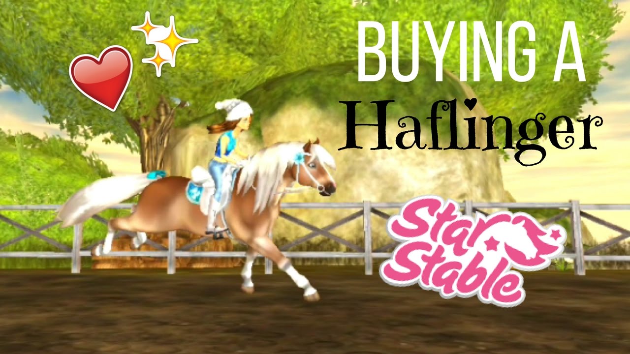 SSO | Buying A NEW Haflinger! ♥ - YouTube