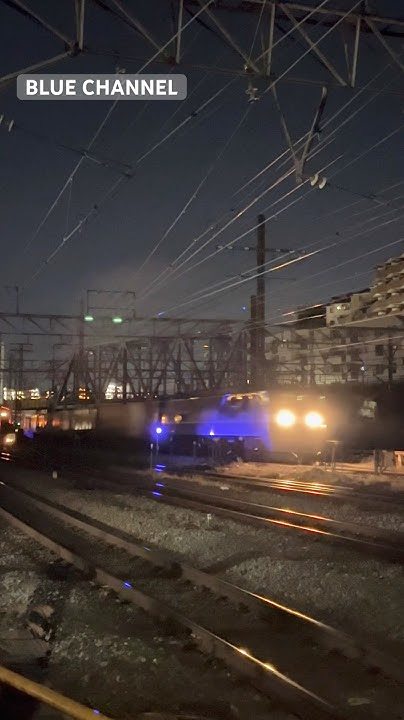 (貨物列車) 2024/11/30 2064レ EF210-339 + コキ25B (百済タ〜東京タ) #Shorts - YouTube