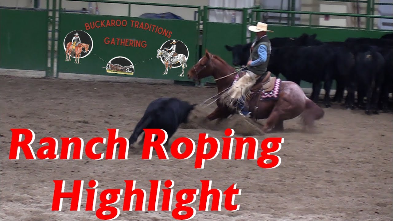 2023 Buckaroo Traditions Gather Ranch Roping Highlight Video - YouTube