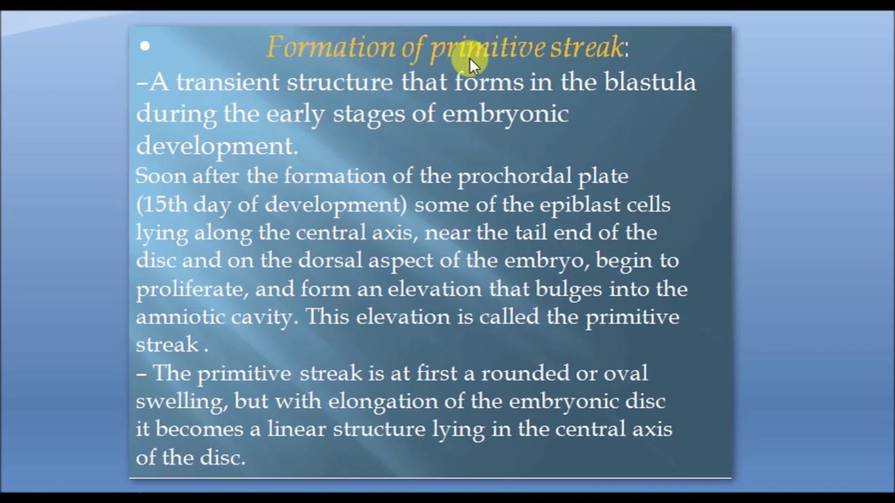Formation of primitive streak - embryology - YouTube