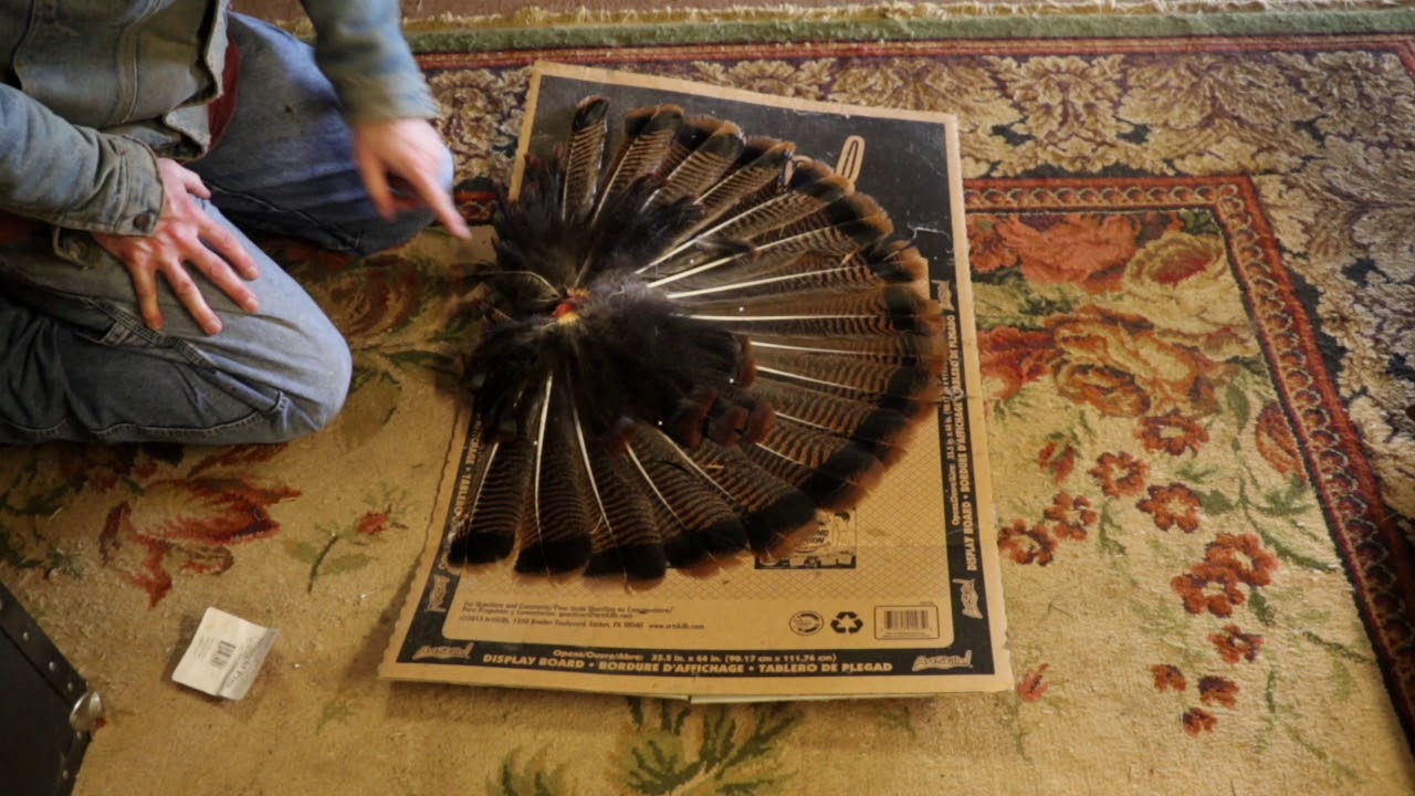 DIY Turkey Fan Mount - YouTube