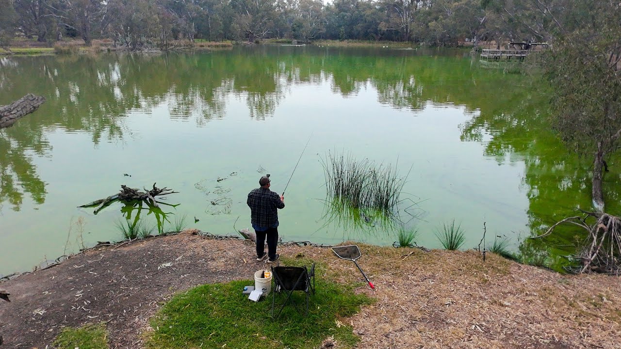 I Started This Fishing Adventure In Albury - YouTube