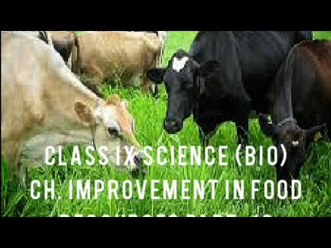 Class IX Science(Biology), Improvement in Food Resources Part 10 ...