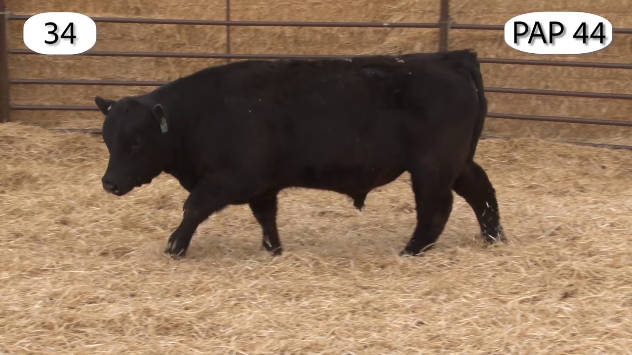 34 Ben Spitzer's conflicted copy 2019 03 16 - YouTube