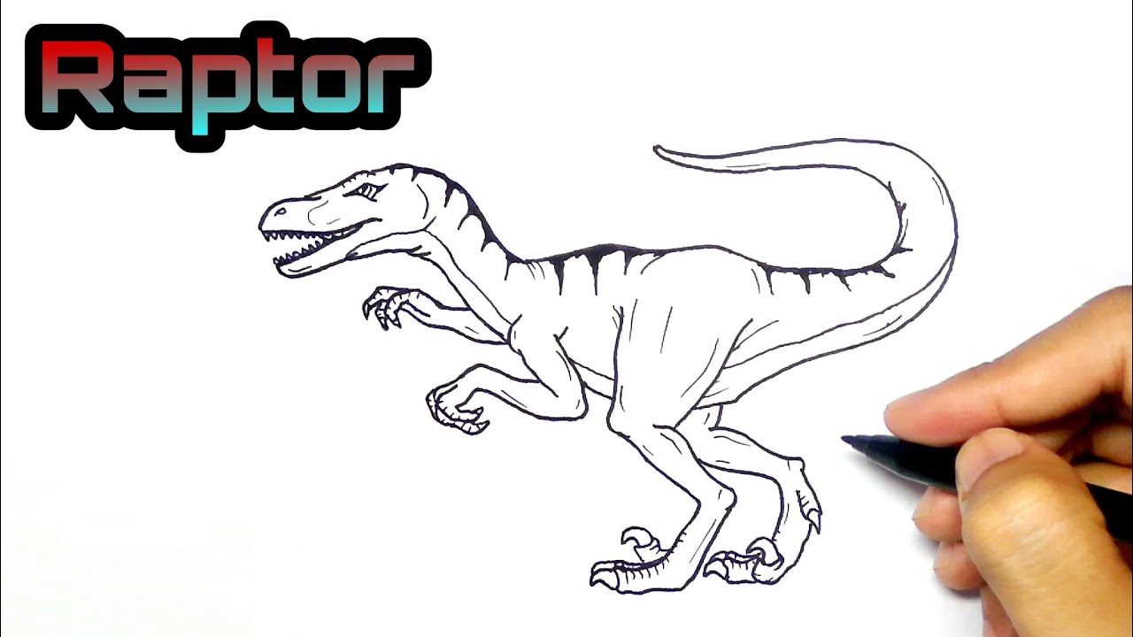 How to draw raptor || jurassic world || easy - YouTube