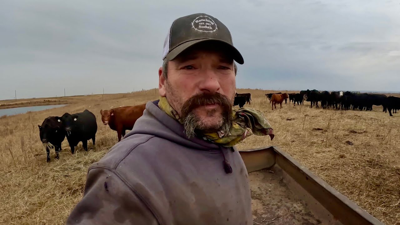 Day In The Life Of A South Dakota RANCHER!! - YouTube