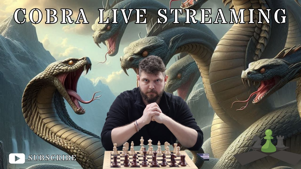 Cobra Live Streaming! Scacchi!! - YouTube