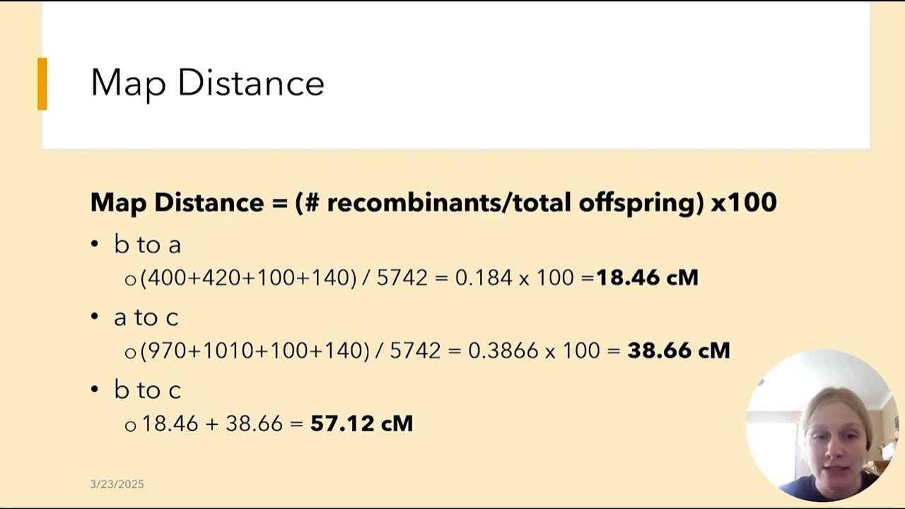 Unit 2 Mapping Demonstration - YouTube