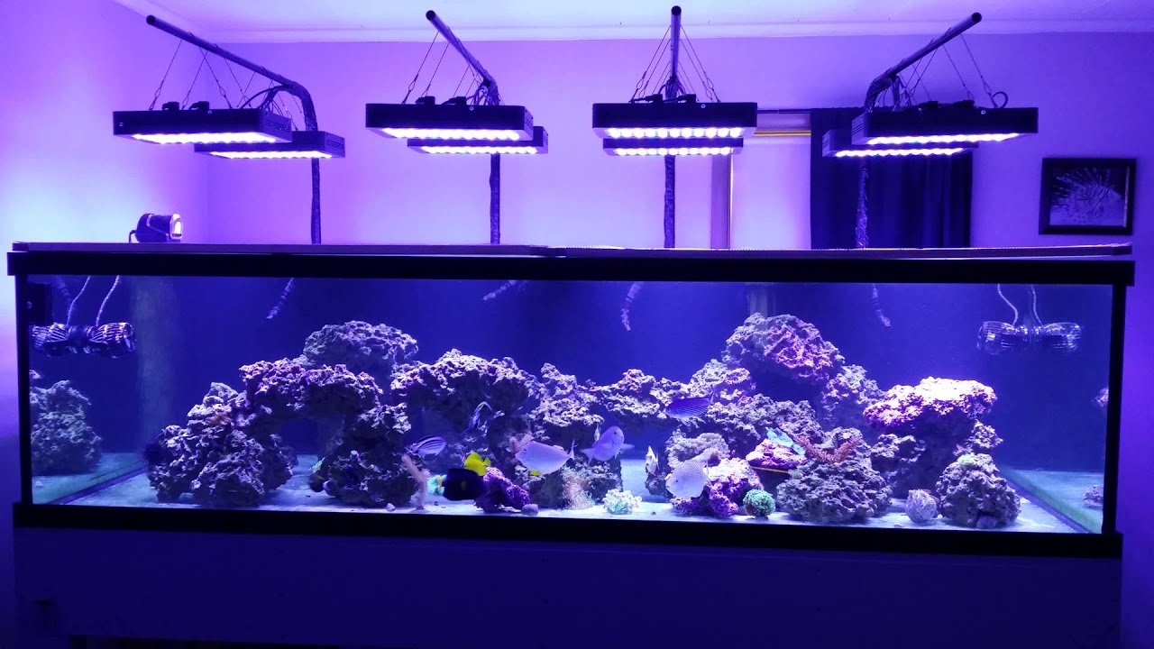 Clear Netting on Right VS Dark Screen on Left - YouTube