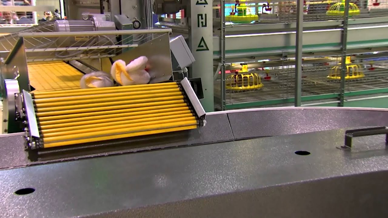 OVAL HARVESTING TABLE - YouTube