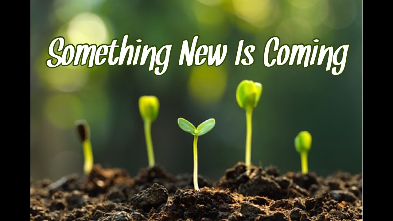 SOMETHING NEW IS COMING - YouTube