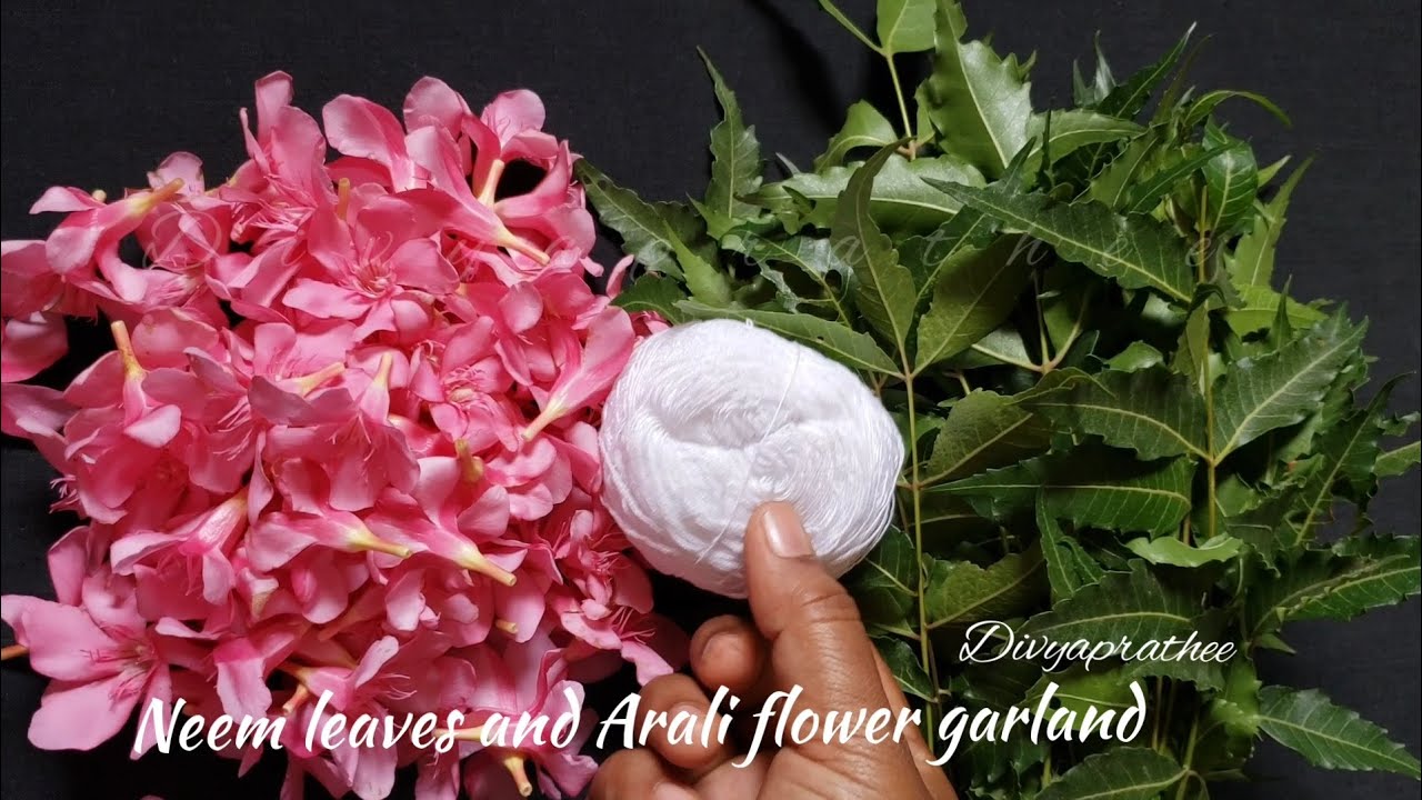 Neem Chameli Flowers