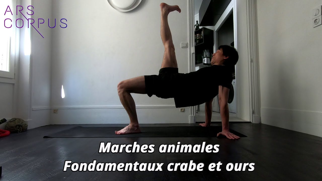 Home Training Jour 34 : Marches animales - Fondamentaux crabe et ours ...
