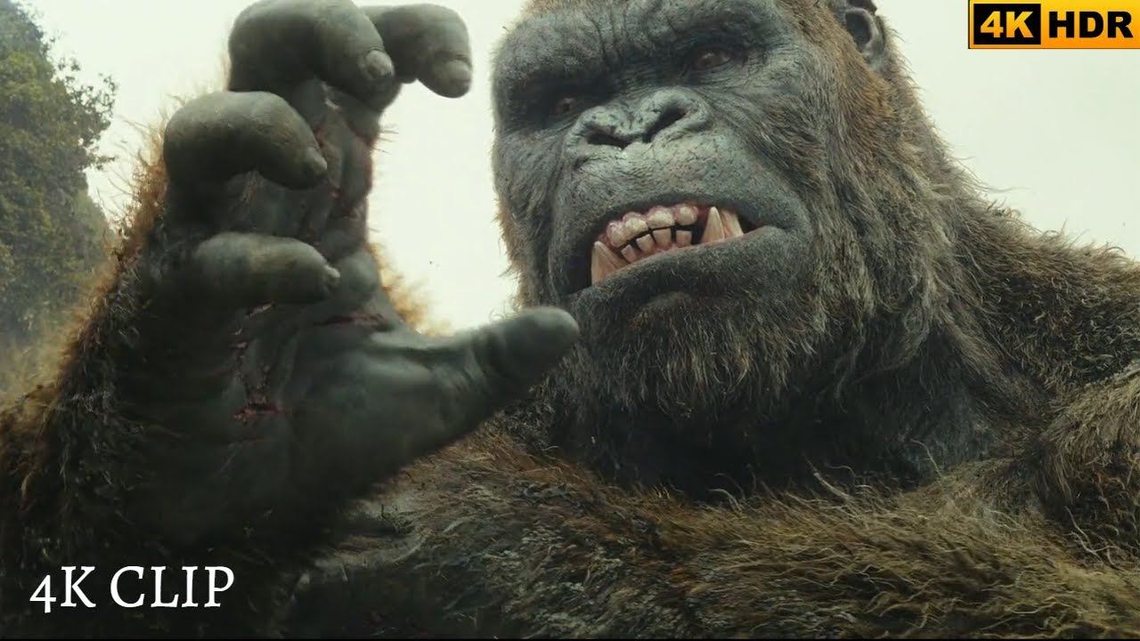 Kong Aur Monster Octopus Ki Fight | Hindi | Kong: Skull Island 2017 ...