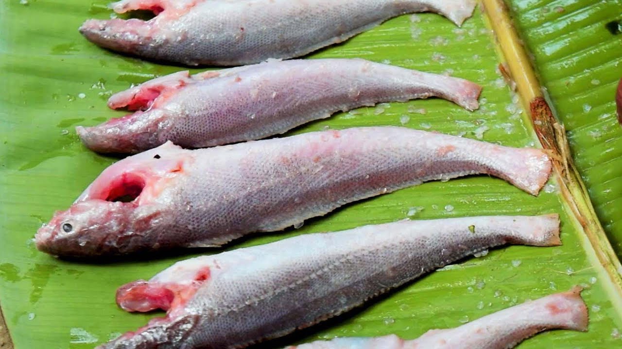 Sea fish cut & clean | how to cut poa fish easy way | Amazing fish ...