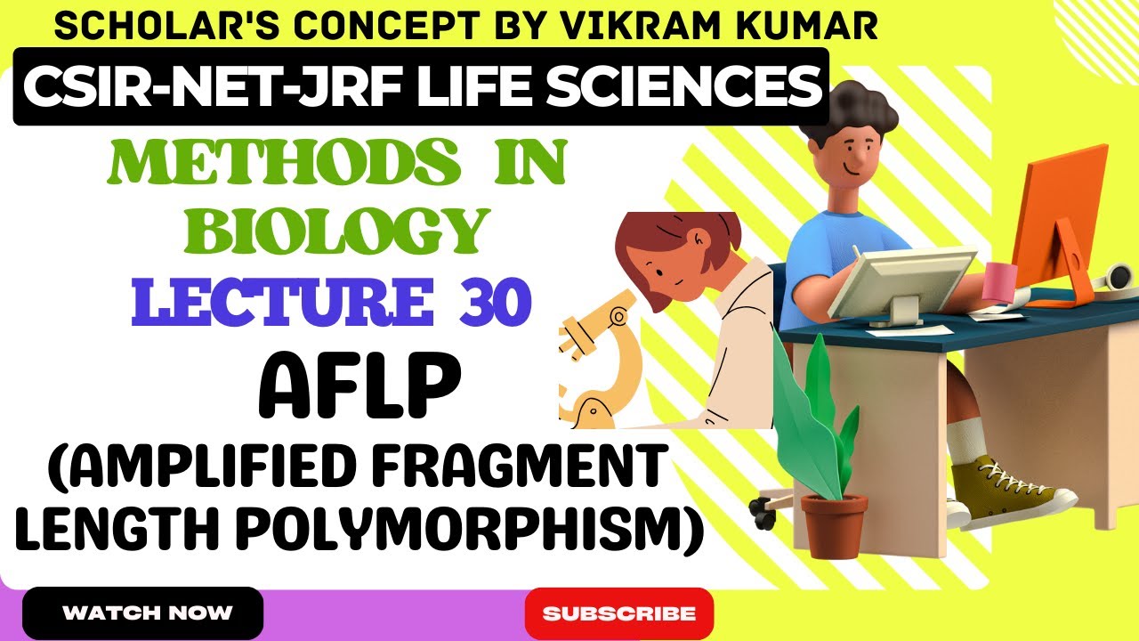 AFLP (Amplified Fragment Length Polymorphism) | Methods in Biology ...