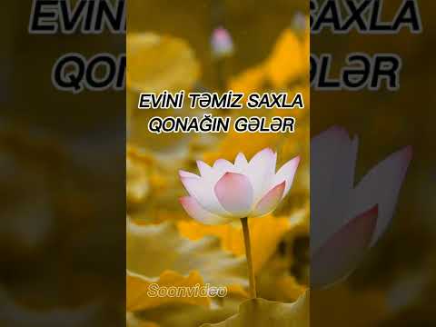 #menalisözler #düşündürensözler #whatsappstatus #statusvideo #shorts #shortsbeta #shortsvideo