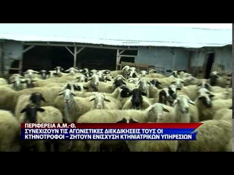 ΤΑ ΠΡΟΒΛΗΜΑΤΑ ΤΩΝ ΚΤΗΝΟΤΡΟΦΩΝ - YouTube