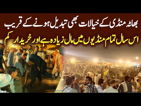 2nd Last Night Bhatta Mandi 2025 - Latest update about Qurbani 2025 - Cow Mandi 2025 - Bakra Mandi