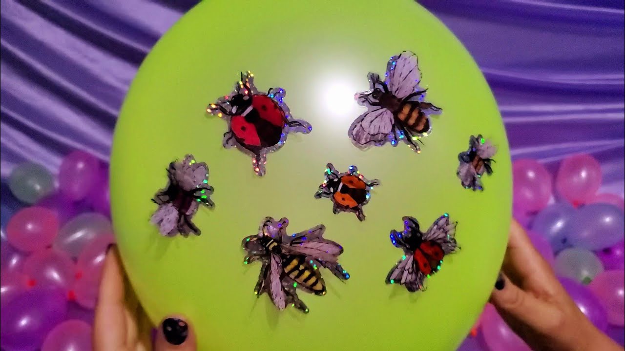 DECORATING BALLOON WITH INSECT STICKERS AND POPPING IT!!! - YouTube