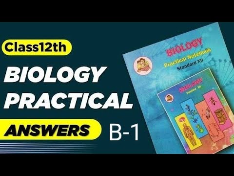 B-1Comparative study rates transpiration in upper & lower surface of ...