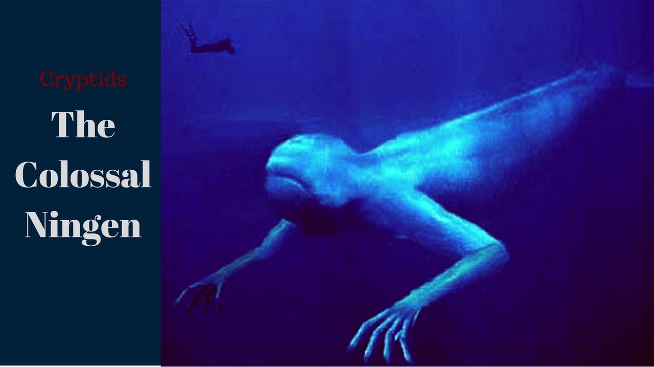 The Colossal Ningen - YouTube