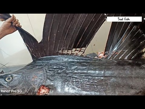 FISH CUTTING SKILLS BIG FISH 🔥 CUTTER | FISH MALL FISH MARKET FISHING ...