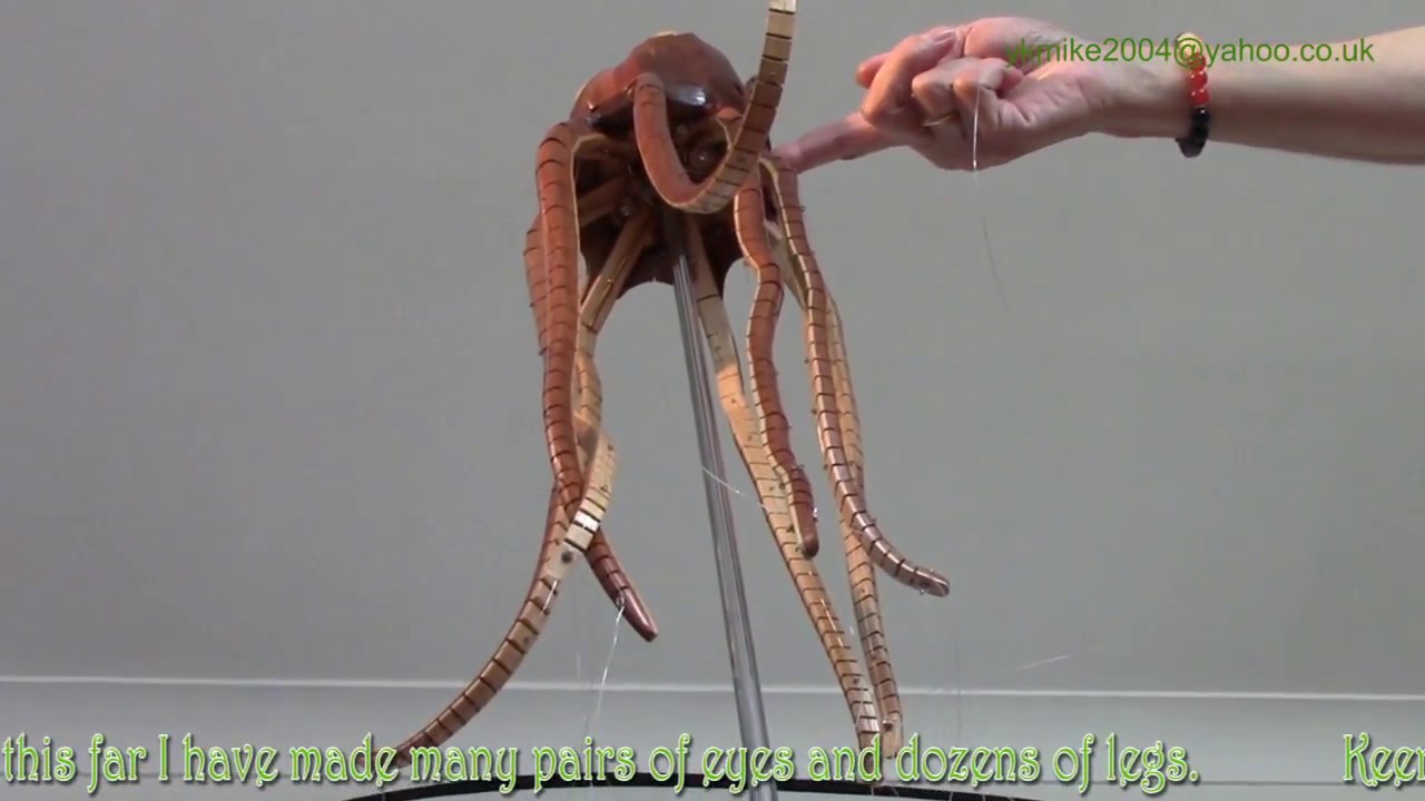 Clockwork Octopus - YouTube