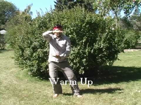 Tai Chi - The Animal Forms - YouTube